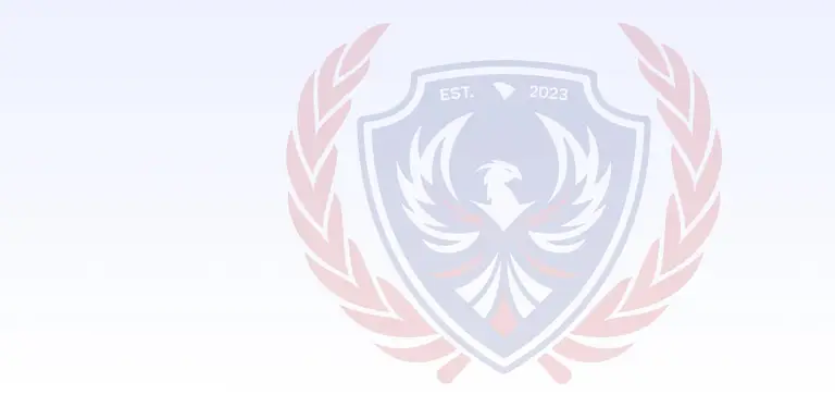 Guidance & Support Archives - Carolus Online Academy